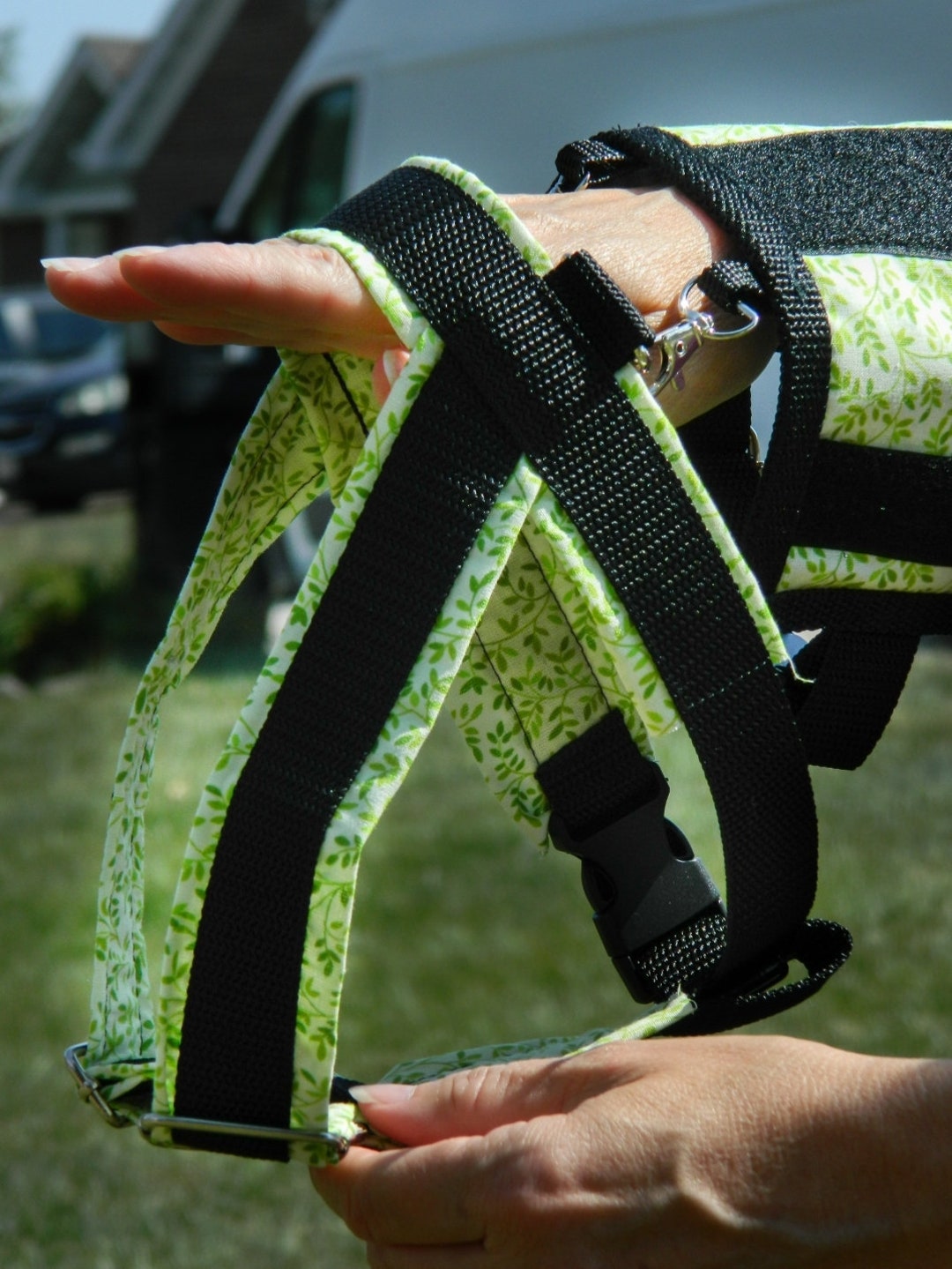 Custom Dog Y-front Harness *READ THE DESCRIPTION - Etsy
