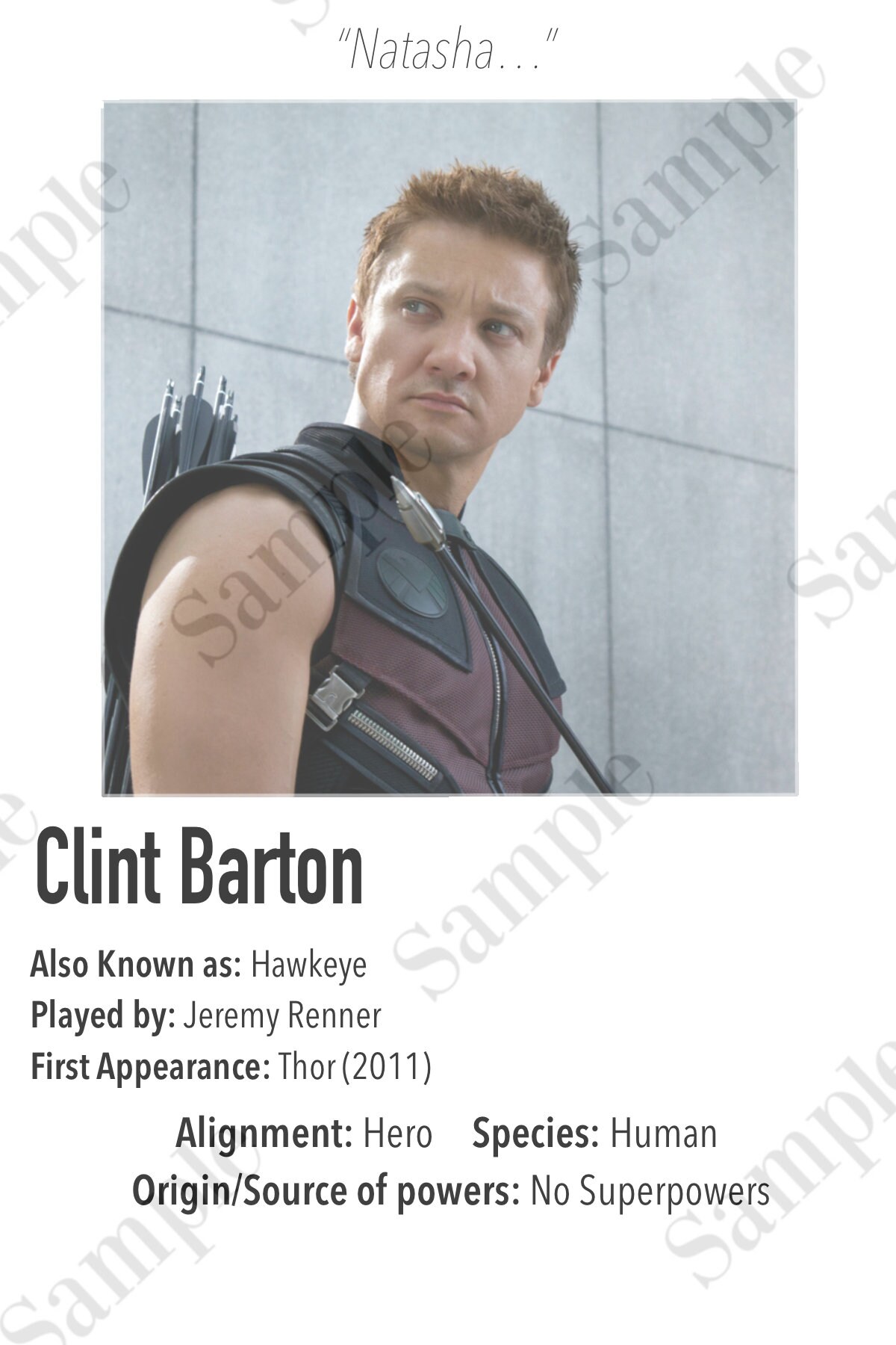 4x6 Printable OG 6 Marvel Character Polaroids - Etsy