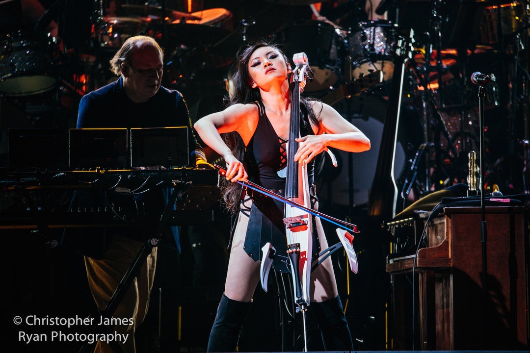 Fine Art Print Tina Guo Hans Zimmer Live Etsy
