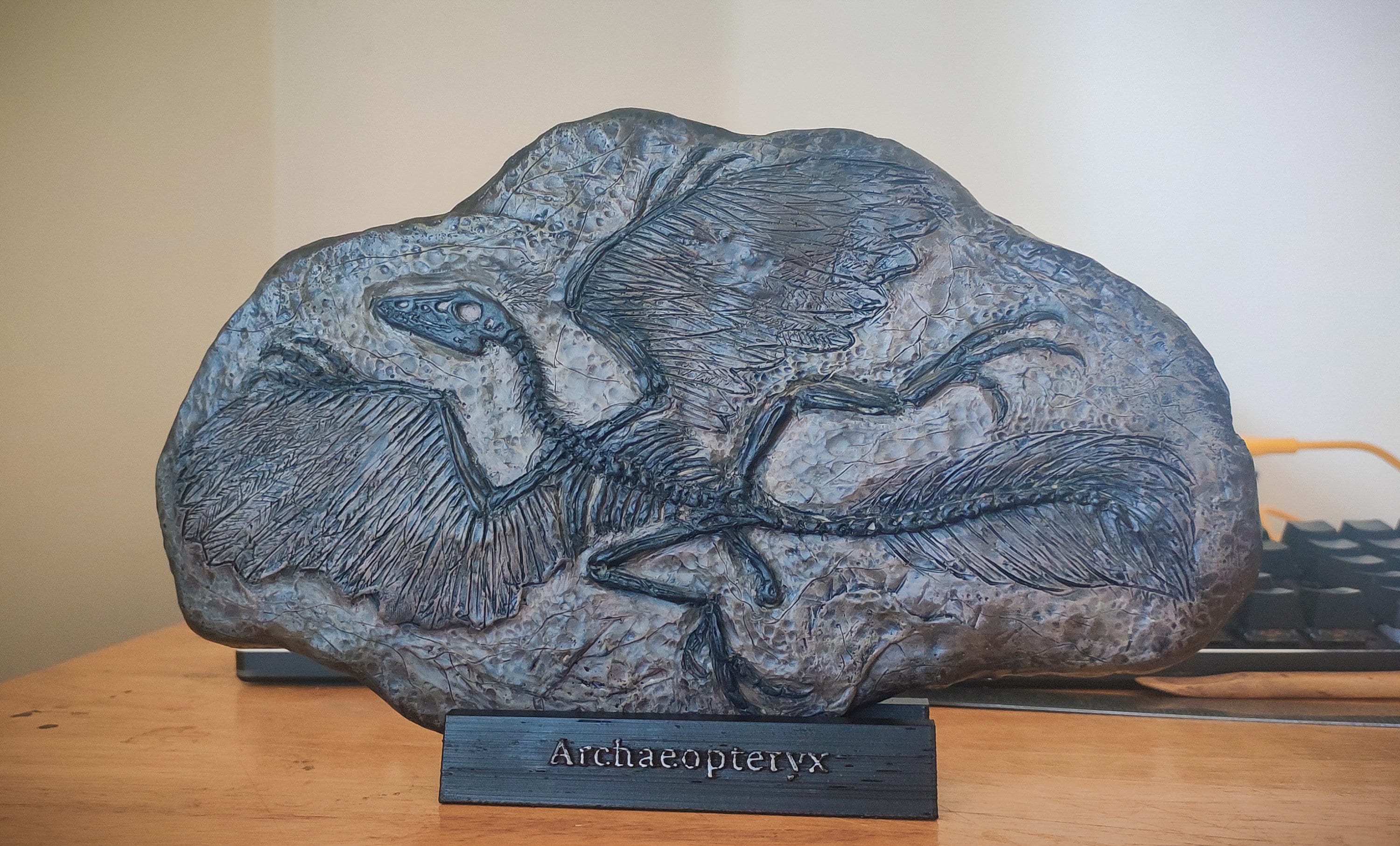 Archaeopteryx Fossil