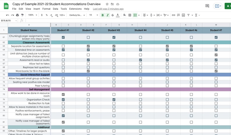IEP Accommodations Overview: Google Sheets for SPED Teachers - Etsy