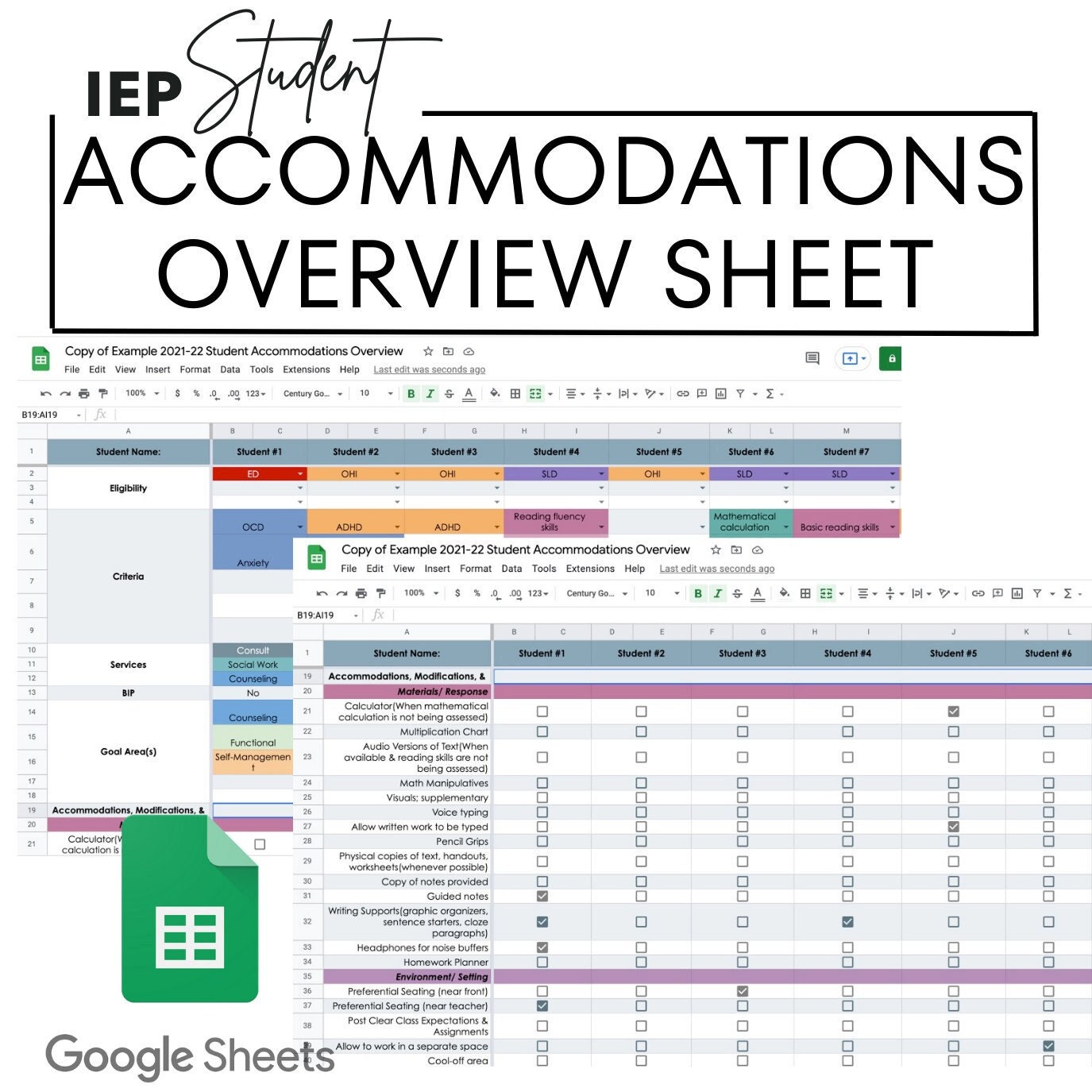 IEP Accommodations Overview: Google Sheets for SPED Teachers - Etsy