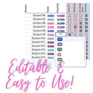 IEP Accommodations Overview: Google Sheets for SPED Teachers - Etsy