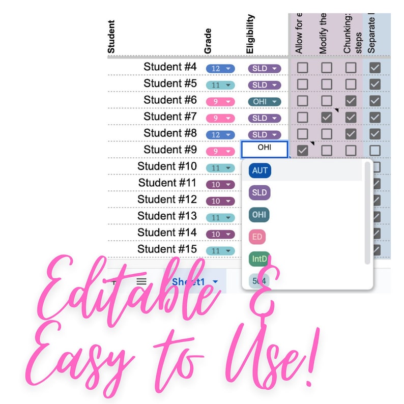 IEP Accommodations Overview: Google Sheets RTI 504 Special Education ...
