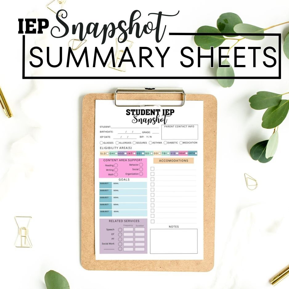 IEP Snapshot Pages: Special Education Digital Printable IEP Summary ...