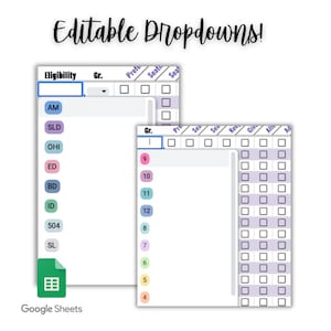 IEP Accommodations Overview: Google Sheets for SPED Teachers - Etsy