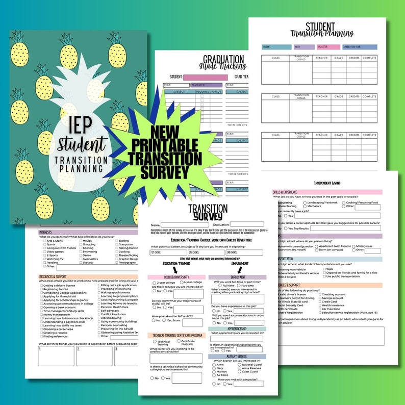 Pineapple IEP Caseload Planner: Special Education Teacher Printable ...