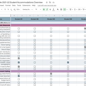 IEP Accommodations Overview: Google Sheets for SPED Teachers - Etsy