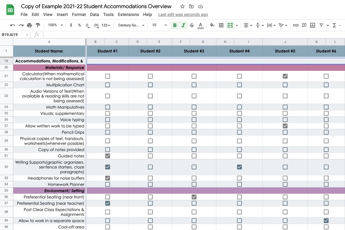 IEP Accommodations Overview: Google Sheets for SPED Teachers - Etsy