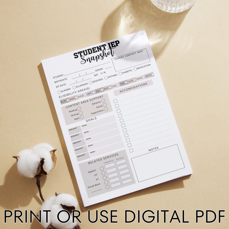 IEP Snapshot Pages: Special Education Digital Printable IEP Summary ...