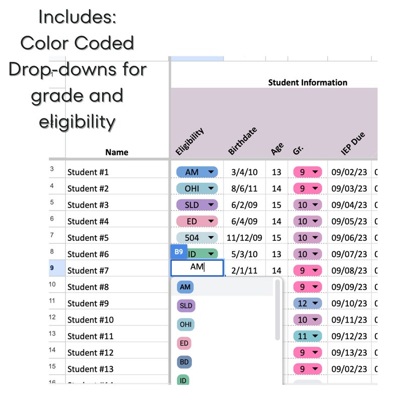 IEP Caseload Meetings Checklist Planning Google Sheet: Tracking Due ...
