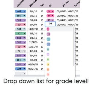 IEP Caseload Meetings Checklist Planning Google Sheet: Tracking Due ...