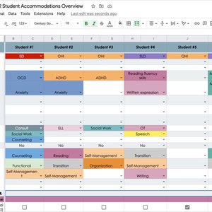 IEP Accommodations Overview: Google Sheets for SPED Teachers - Etsy