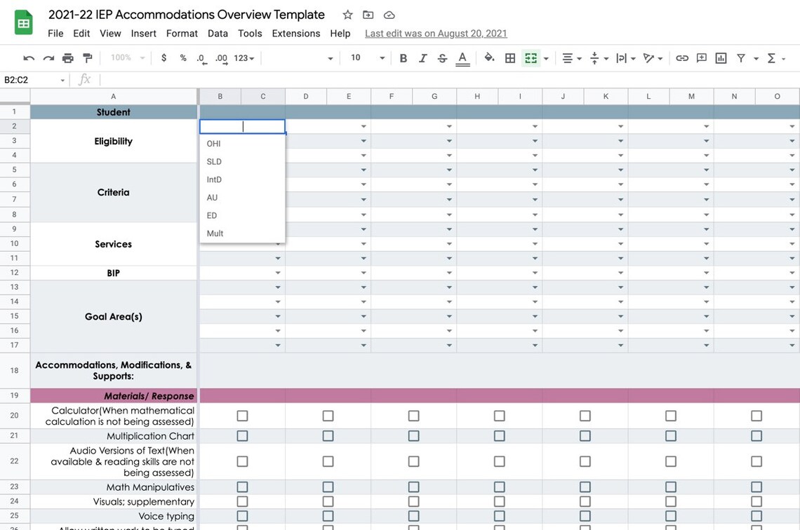 IEP Accommodations Overview: Google Sheets for SPED Teachers - Etsy