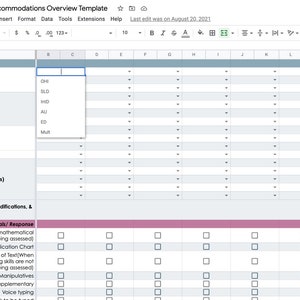 IEP Accommodations Overview: Google Sheets for SPED Teachers - Etsy