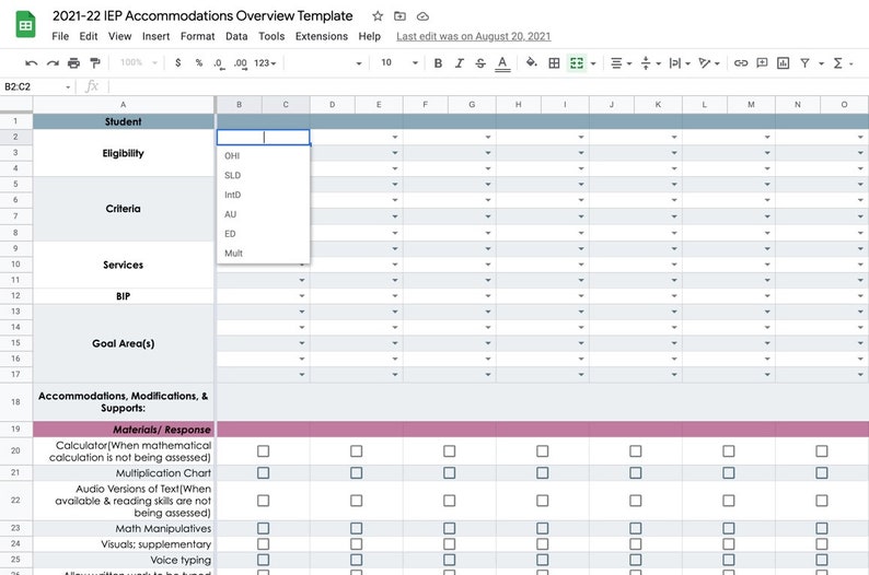 IEP Accommodations Overview: Google Sheets for SPED Teachers - Etsy