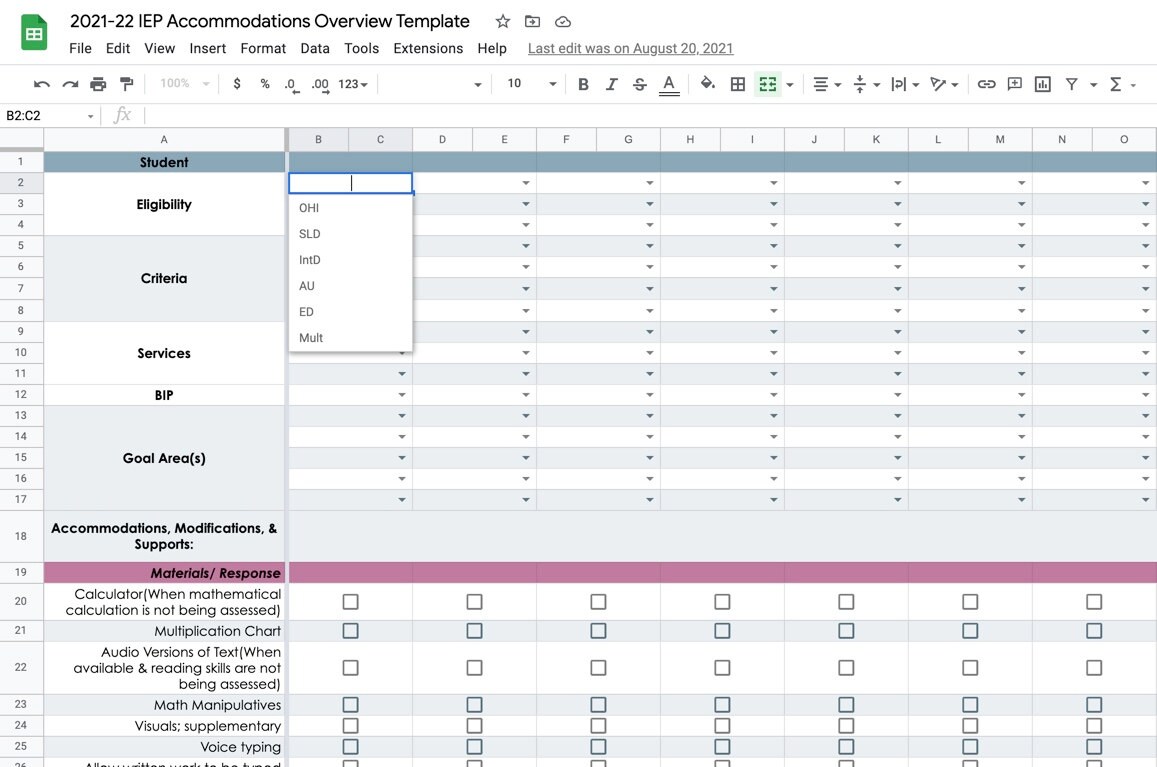 IEP Accommodations Overview: Google Sheets for SPED Teachers - Etsy