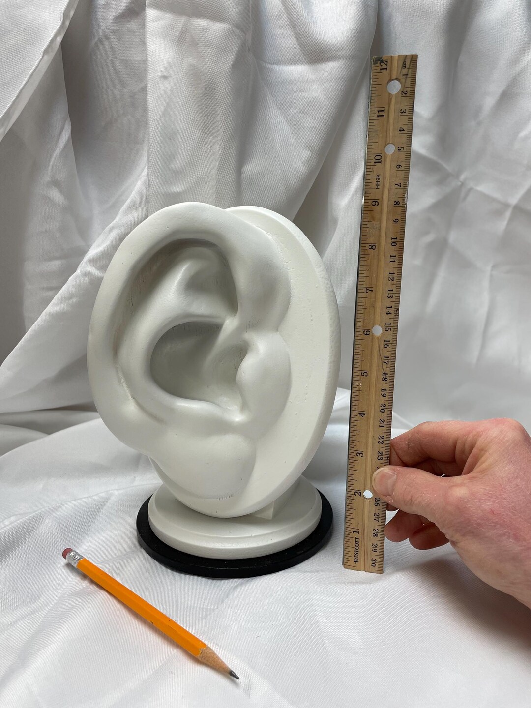 Ear Sculpture: Renaissance Art Drawing Model, Art Education - Etsy