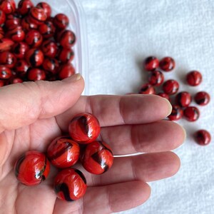 Set of 5 “ladybug” Mega Marble Glass Marbles, 5/8” (16mm), Red With ...