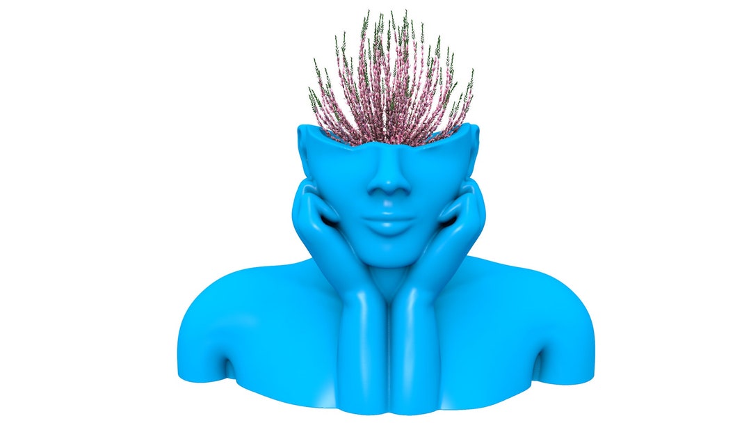 Face Vase Stl File / Printable Stl File for 3d Printers, Home ...