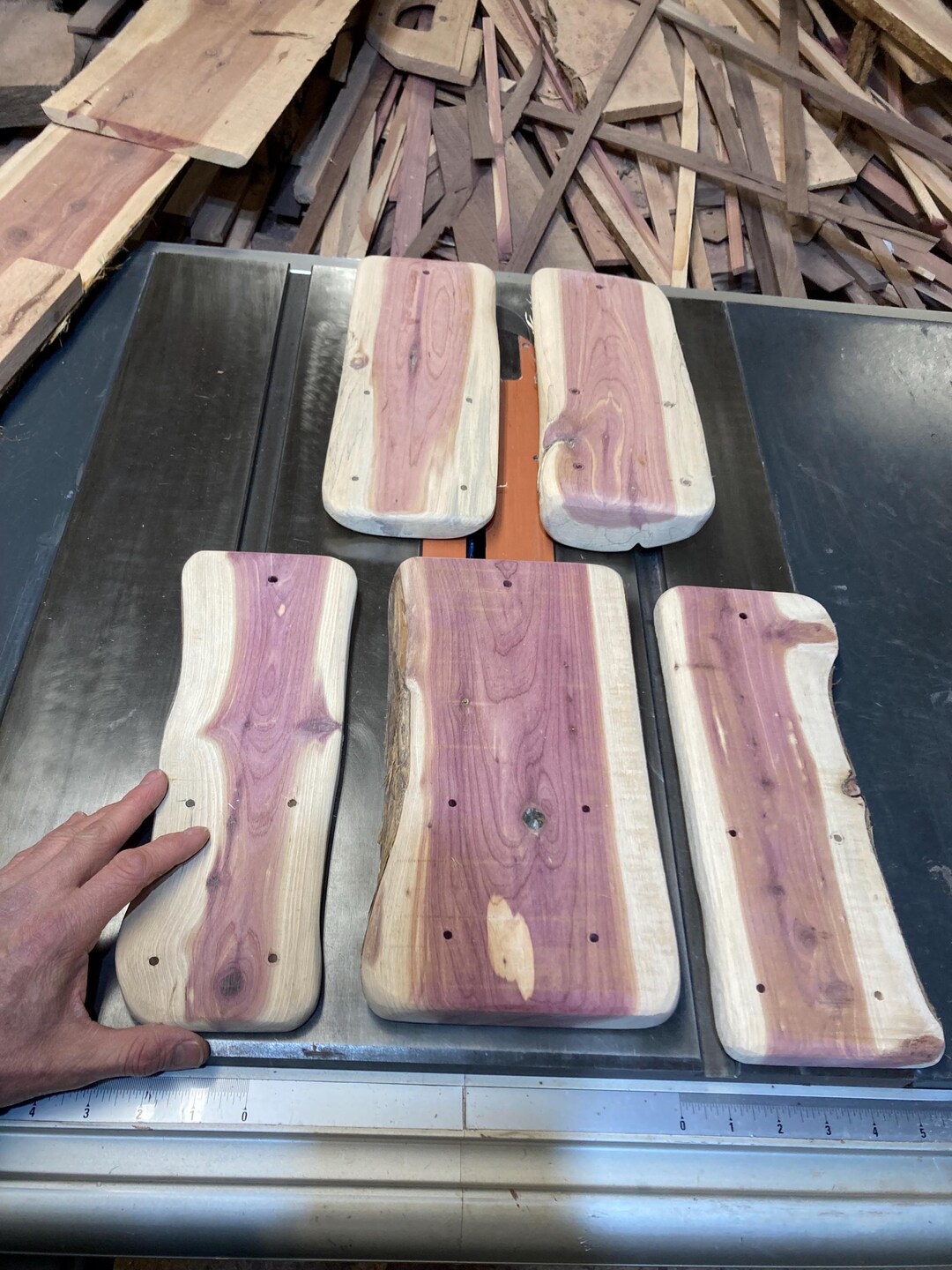 Four Orchid Wall Mount Base Plates, Live Edge Eastern Red Cedar, Approx ...