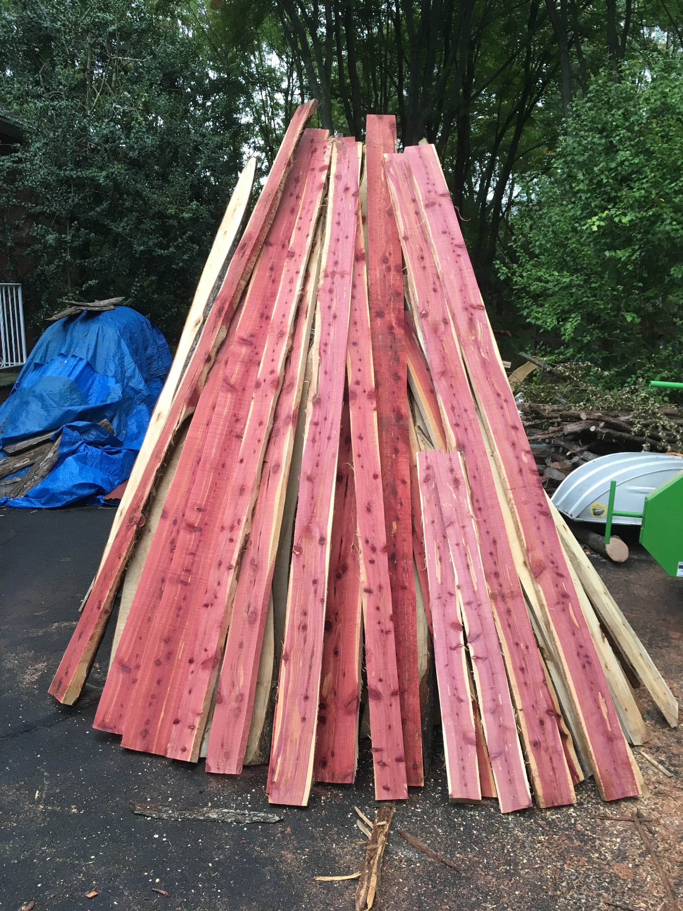 Red Cedar Wood