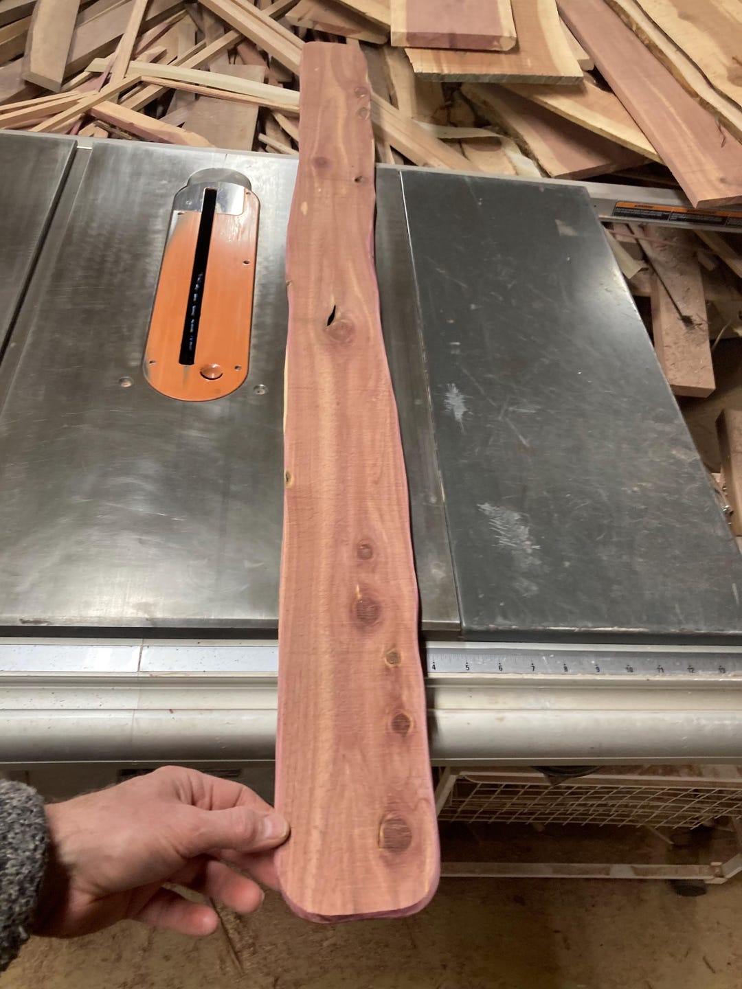 Rough Cut Eastern Red Cedar, 1 Live Edge Plant Climbing Wall at Approx ...