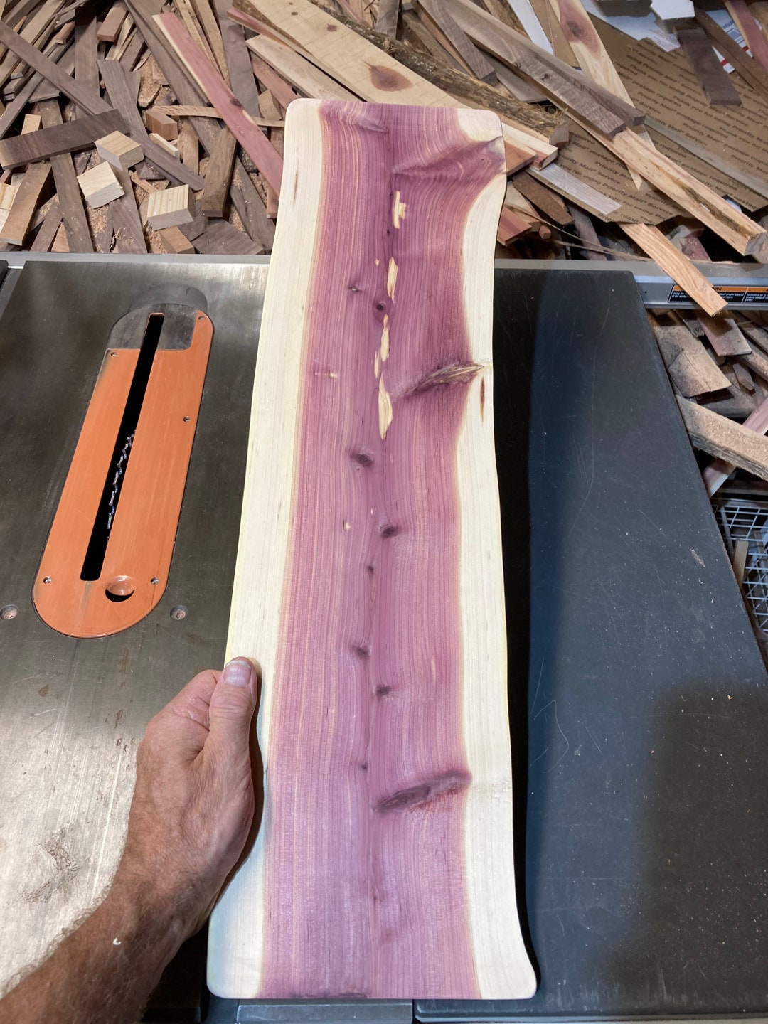 Live Edge Eastern Red Cedar, One Slab, Plant Climbing Wall. 1/2” Thick ...
