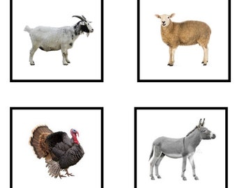 Montessori in the Sky 3-part Cards With Miniatures - Etsy