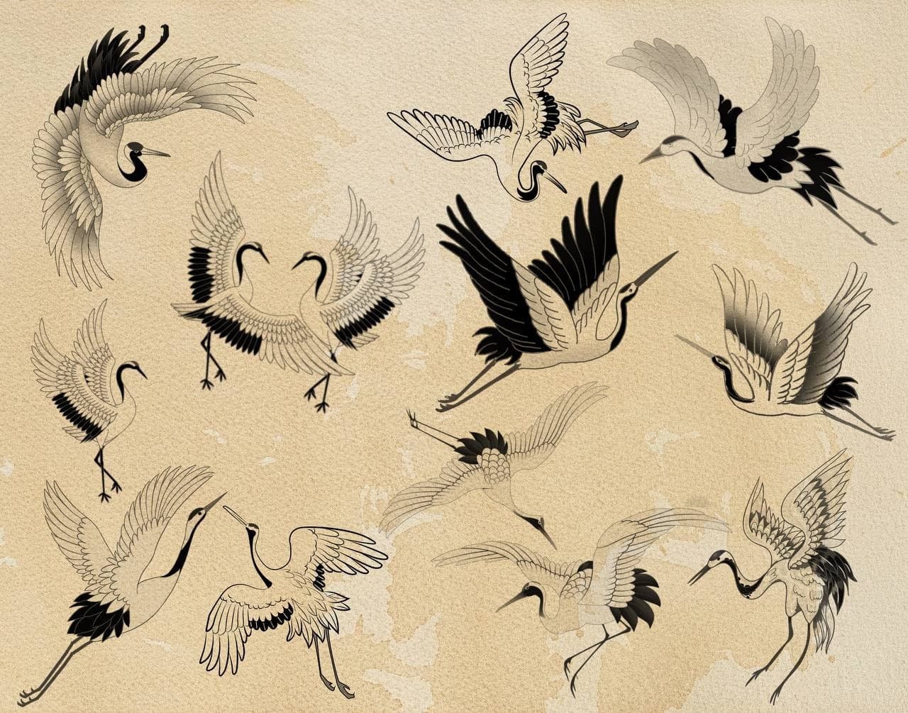 Brusheset Stamps Procreate Chinese Crane - Etsy