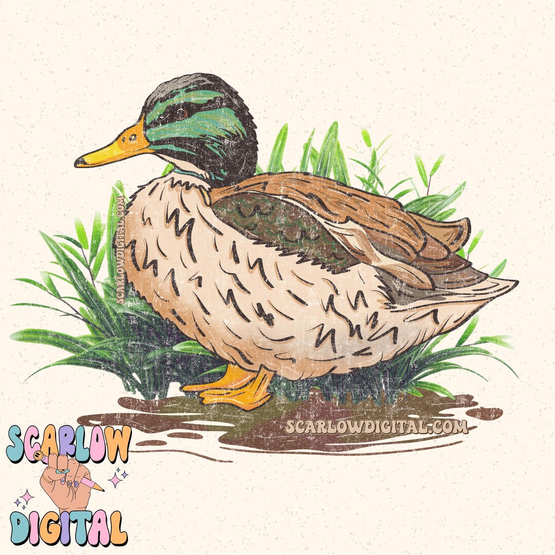Mallard PNG Digital Design, Hunting Png, Fishing Png, Outdoors Png, Png ...