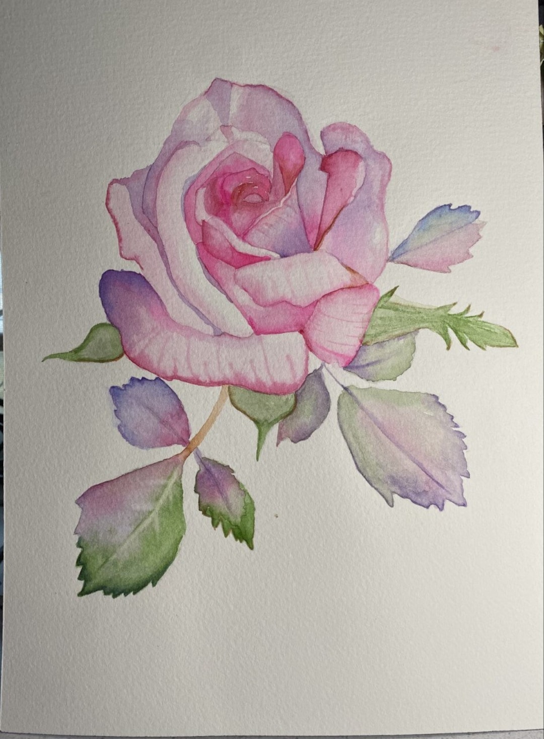 Pink Rose Watercolor - Etsy