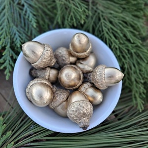 Golden Acorns! 10x Real Acorns (and Caps) Dressed up With Metallic Gold ...