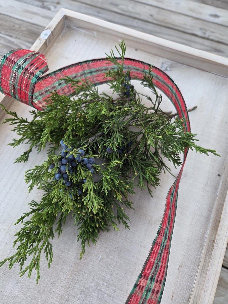 Eastern Red Cedar Boughs! Juniper Virginiana. 1 Lb Box of Fresh ...