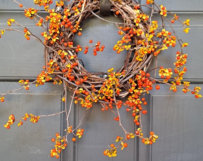 Barbaras Bittersweet Wreath, Wild, Vine, Natural. BEAUTIFUL - Etsy