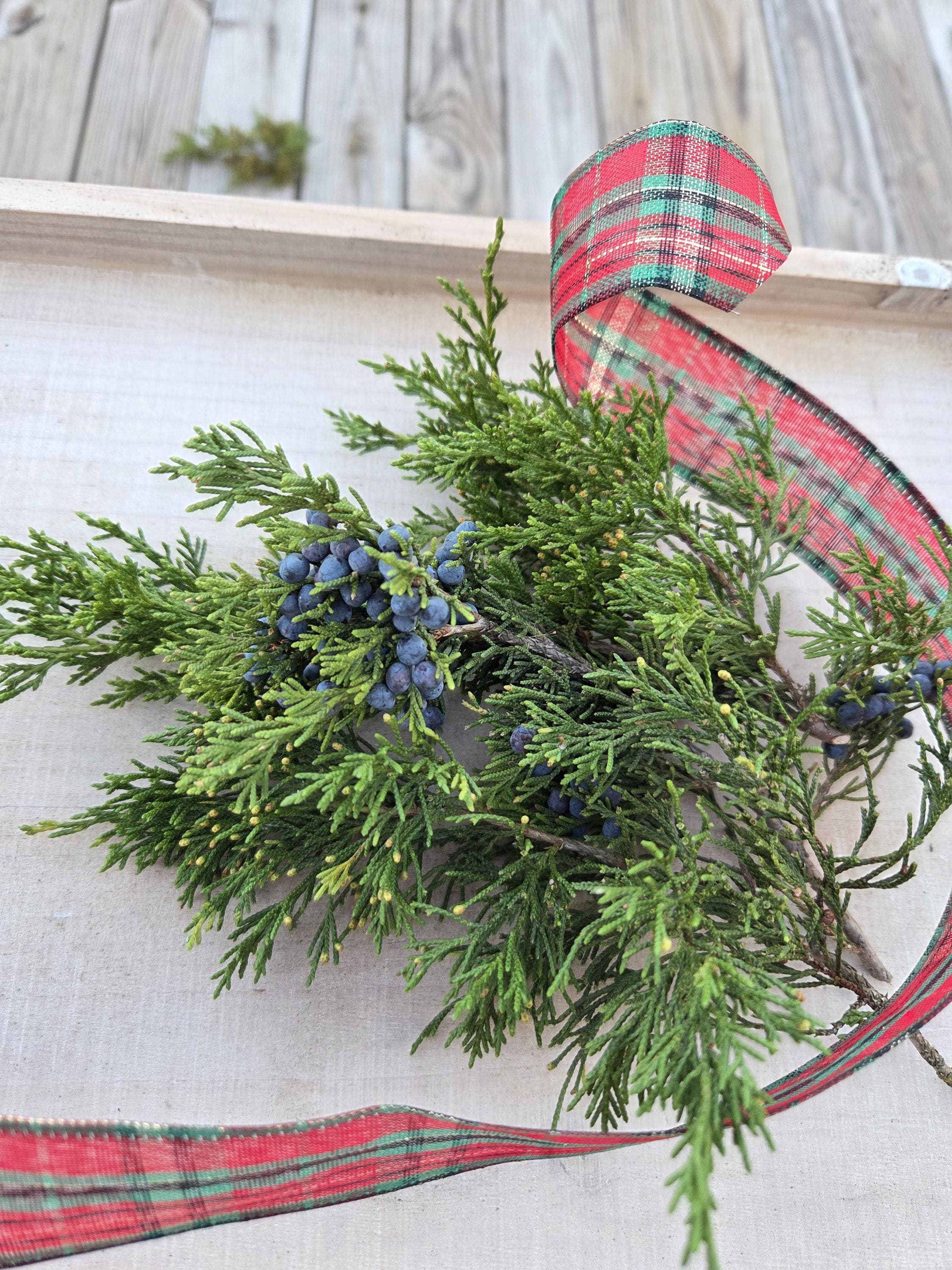 Eastern Red Cedar Boughs! Juniper Virginiana. 1 Lb Box of Fresh ...