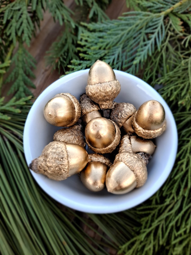 Golden Acorns! 10x Real Acorns (and Caps) Dressed up With Metallic Gold ...