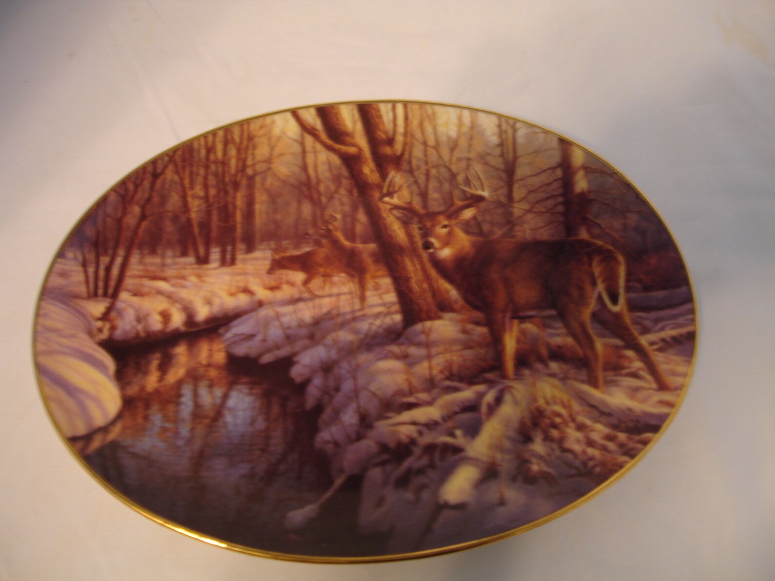 Vintage Decorative Plate - the Panda - Etsy