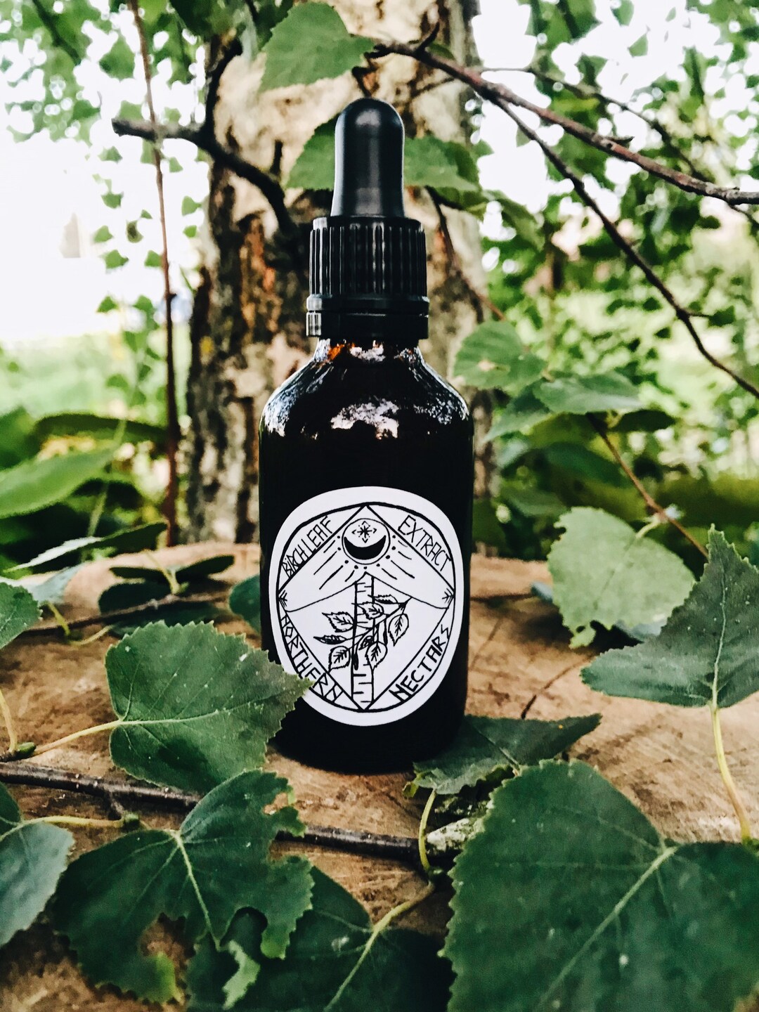 Foraged BIRCH LEAF Extract // Wild Harvest - Etsy