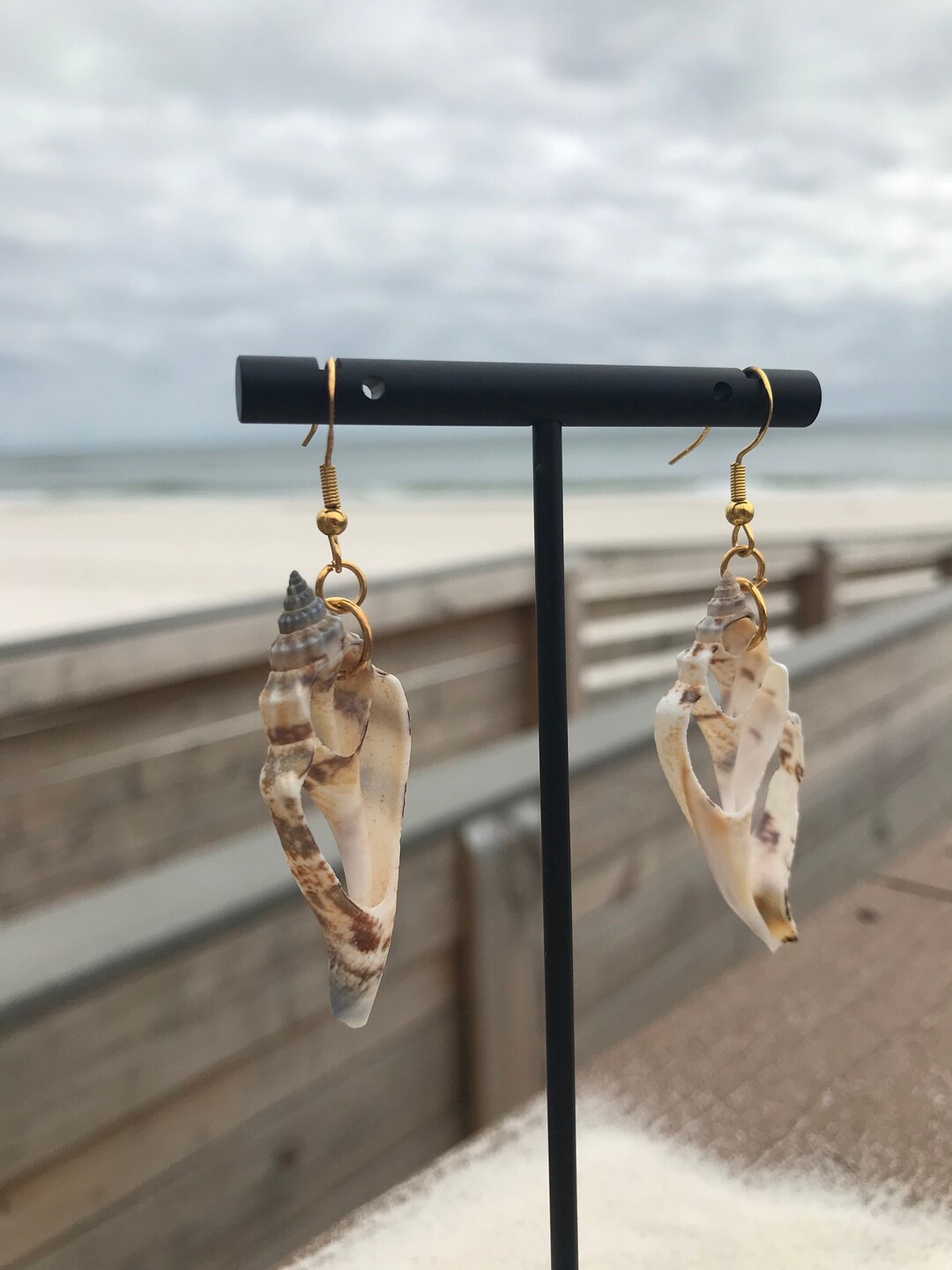 Skeleton Shell Earrings (brown Chula) With 18k Gold, Laser-cut Seashell ...