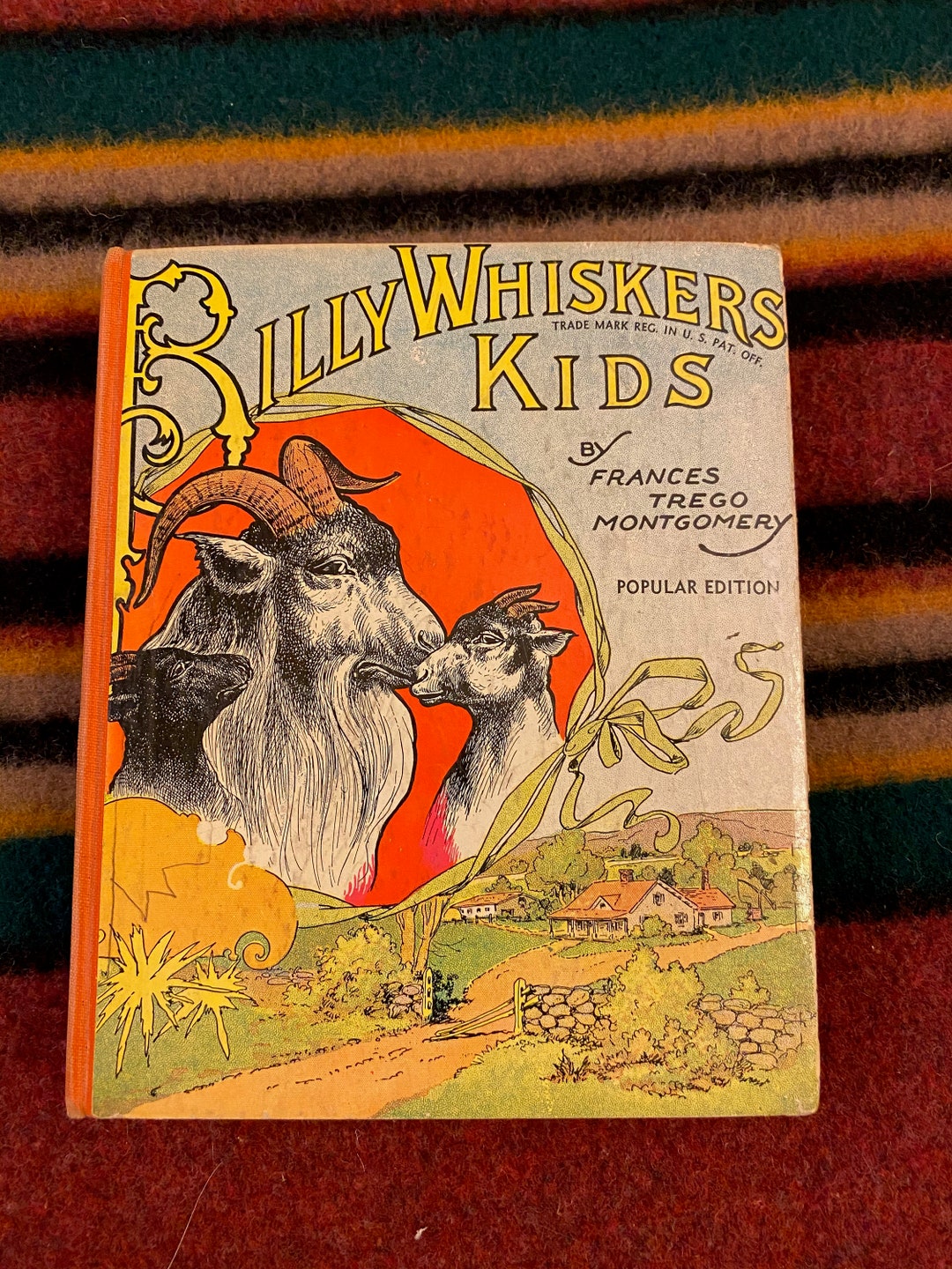 Billy Whiskers Books (set of 2) - Etsy