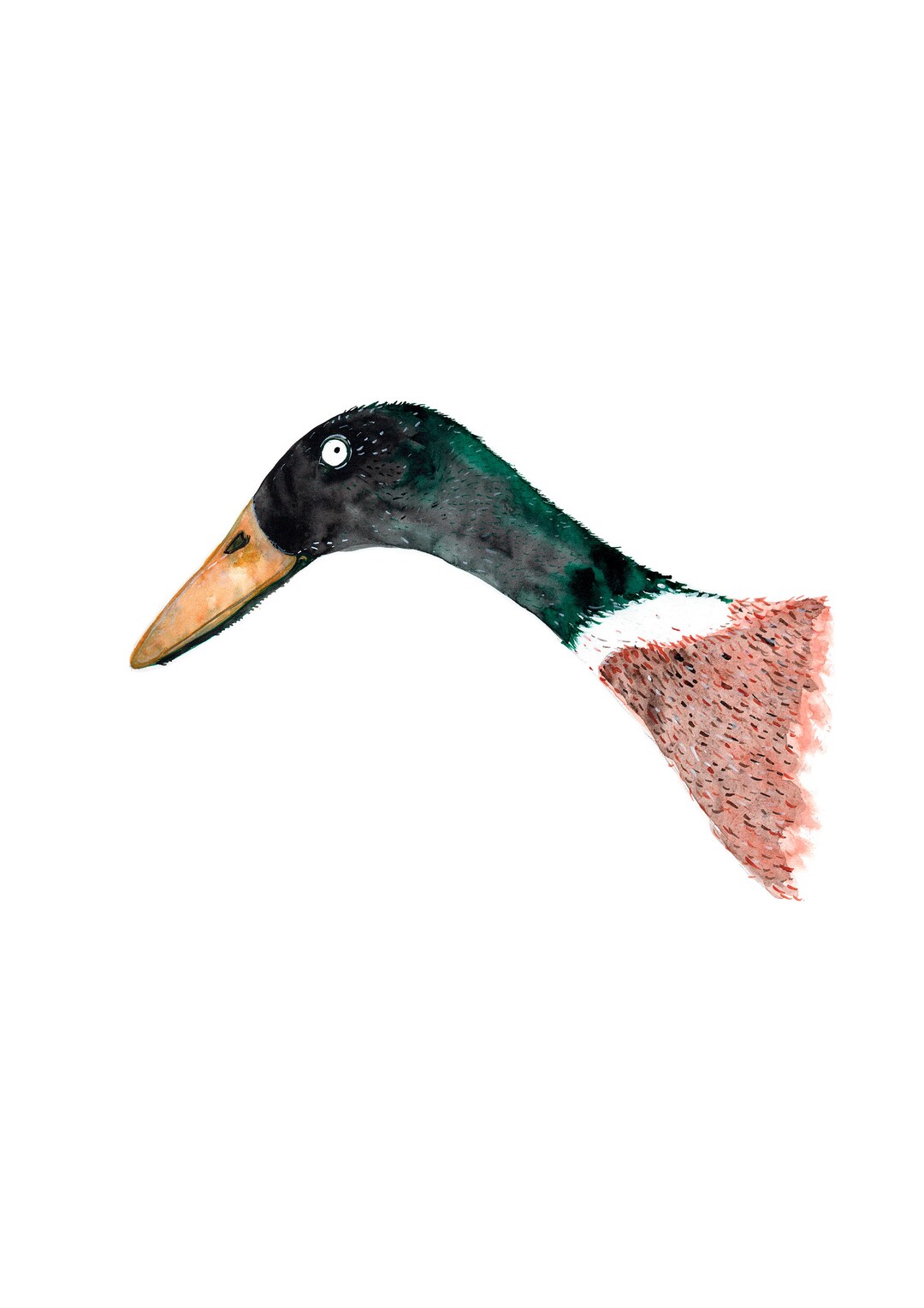 Duck Illustration A4 Print Indian Runner Duck Portrait Print Watercolor ...