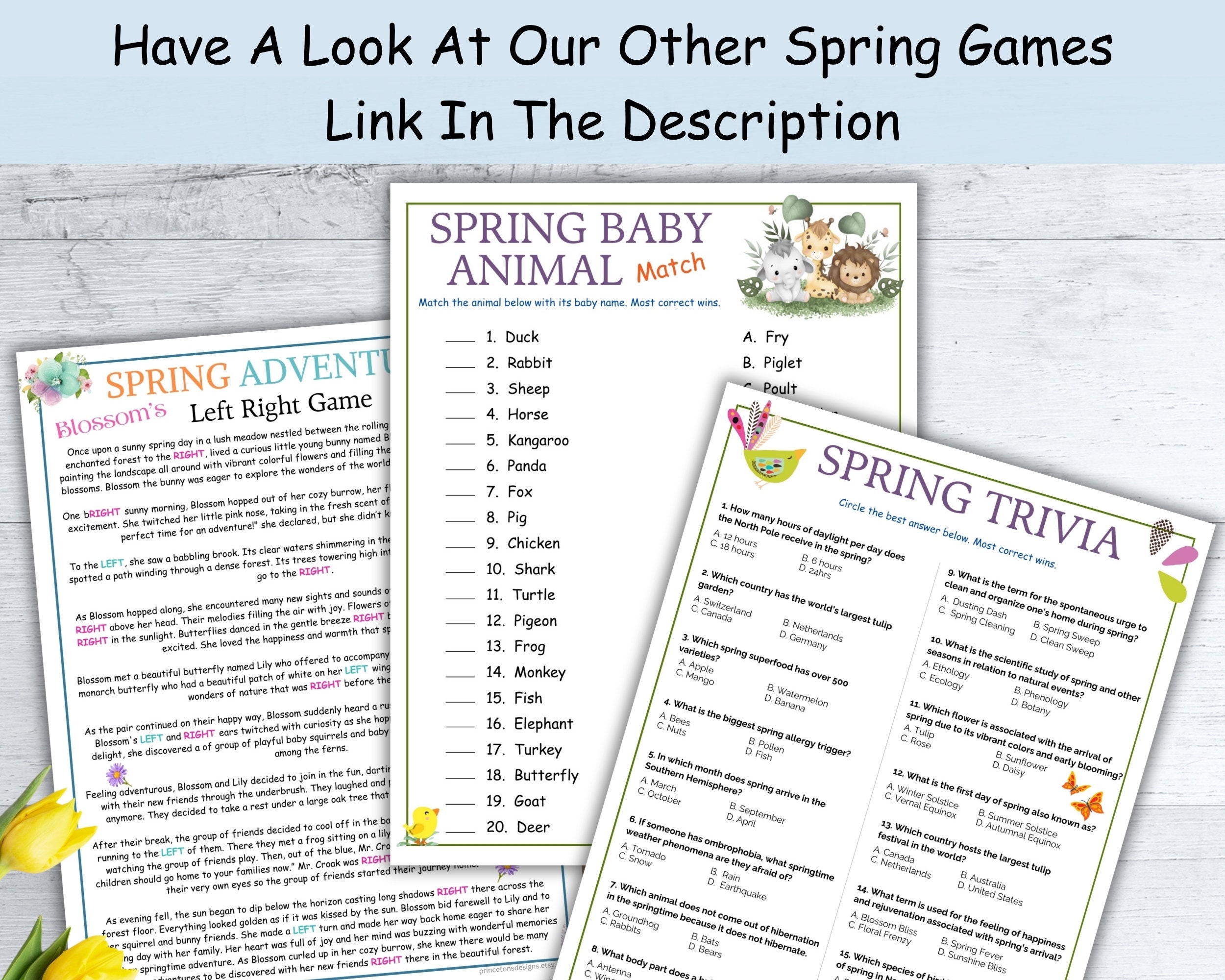 Spring Game Printable, Baby Animal Matching, Baby Animal Name, Spring ...