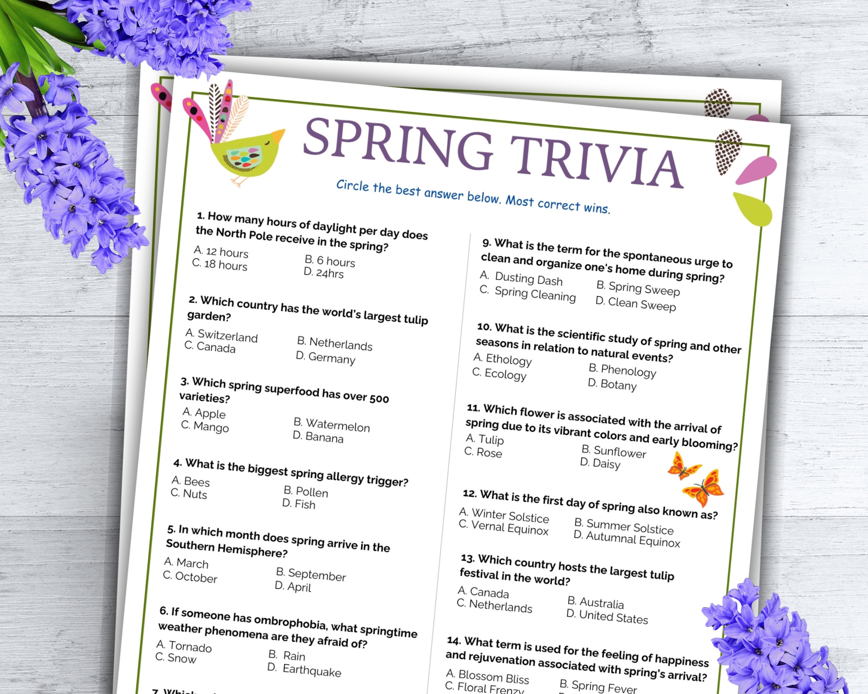 Spring Trivia Game, Printable Spring Game, Spring Party Ideas, Spring ...