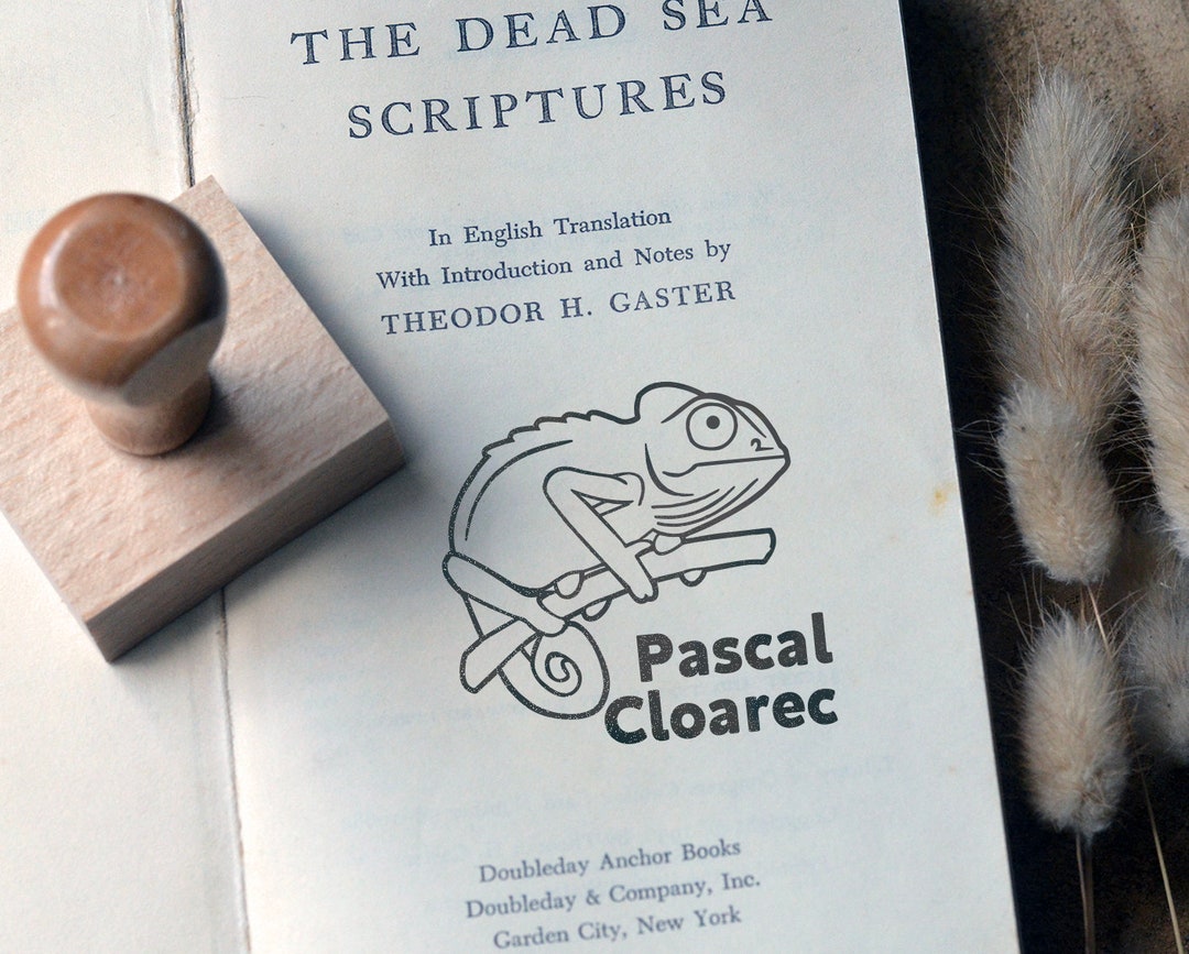 Personalized Chameleon Stamp. First Name & Chameleon Ink Stamp. Large ...