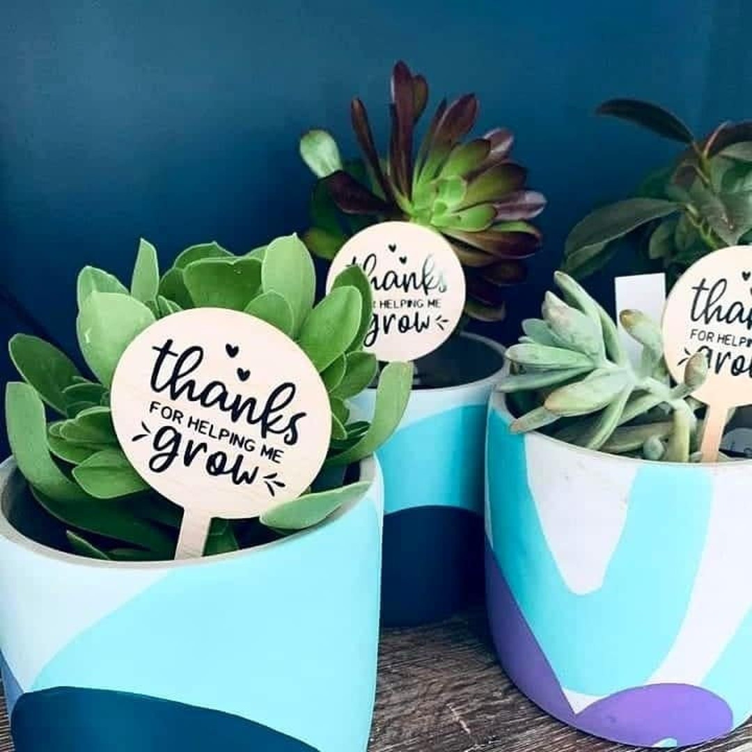 Planter Stick Teachers Gift I Carers Gift I Planter Stake I - Etsy ...