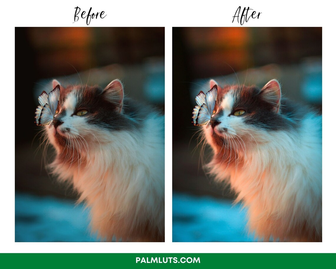 20 Bright Nature Luts Pack for Video and Color Grading Video - Etsy