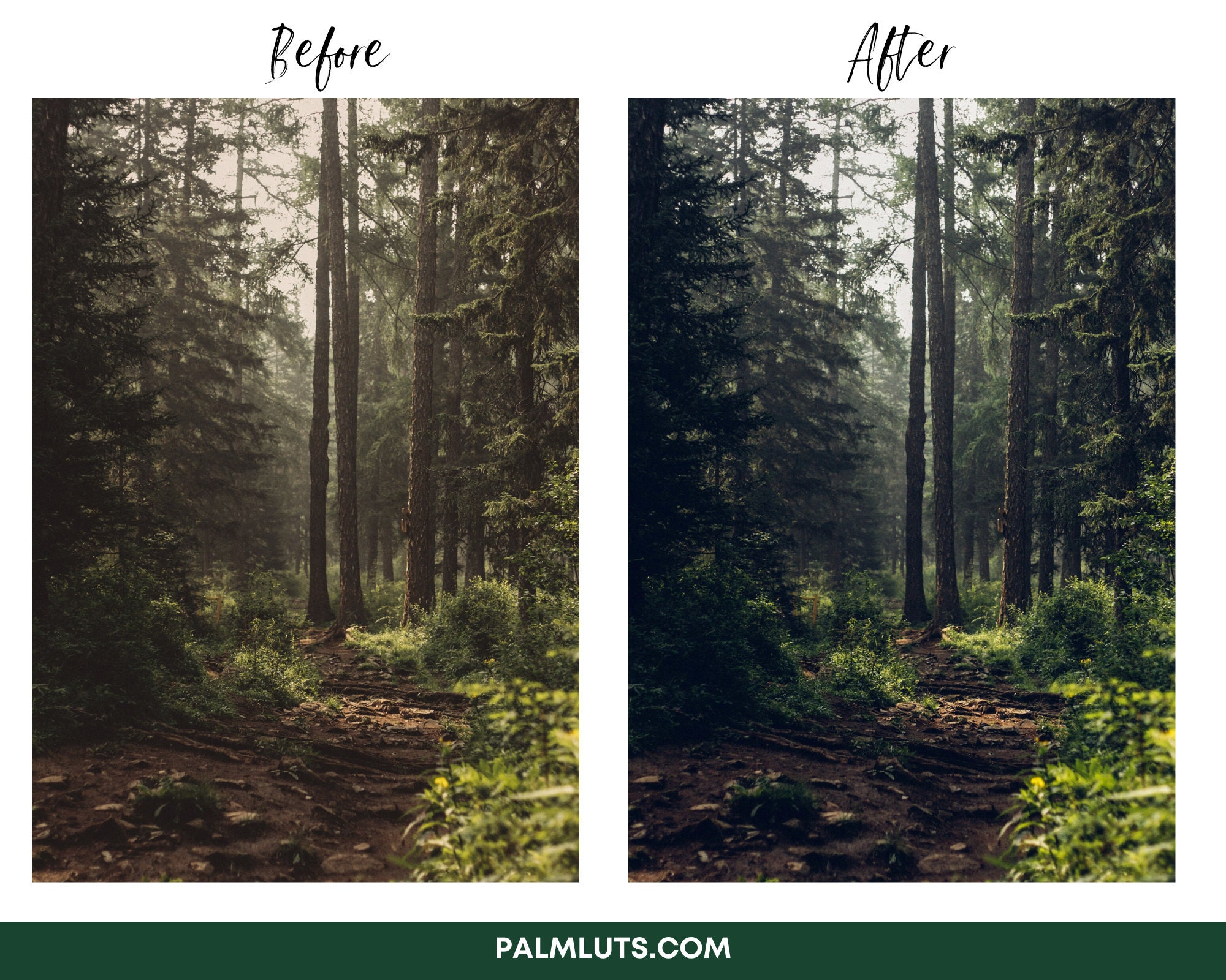 27 Deep Earth Tones Luts Pack for Video and Color Grading - Etsy