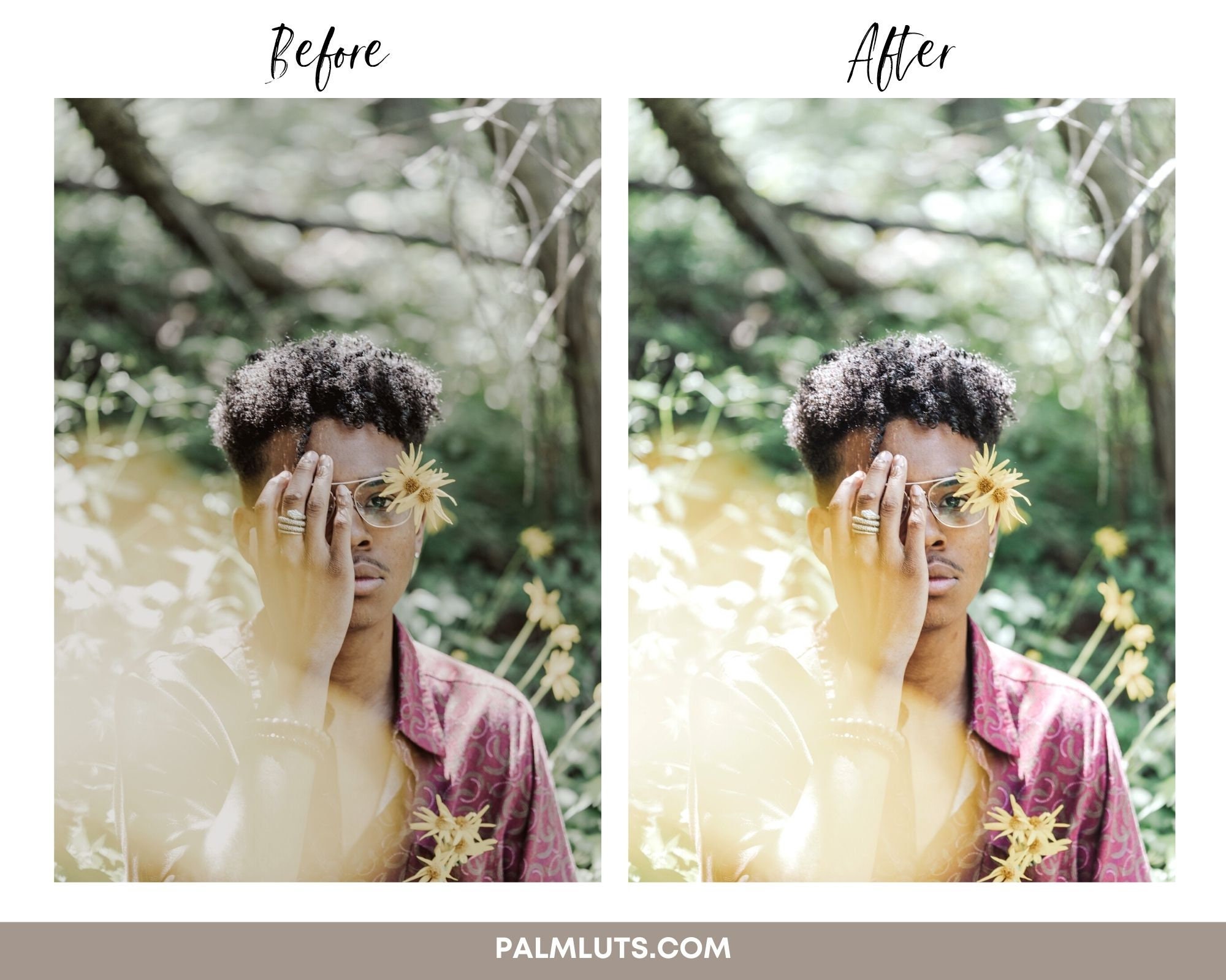 20 Cinematic Adventure Luts Pack for Video and Color Grading Video Luts for Final Cut, Premiere ...