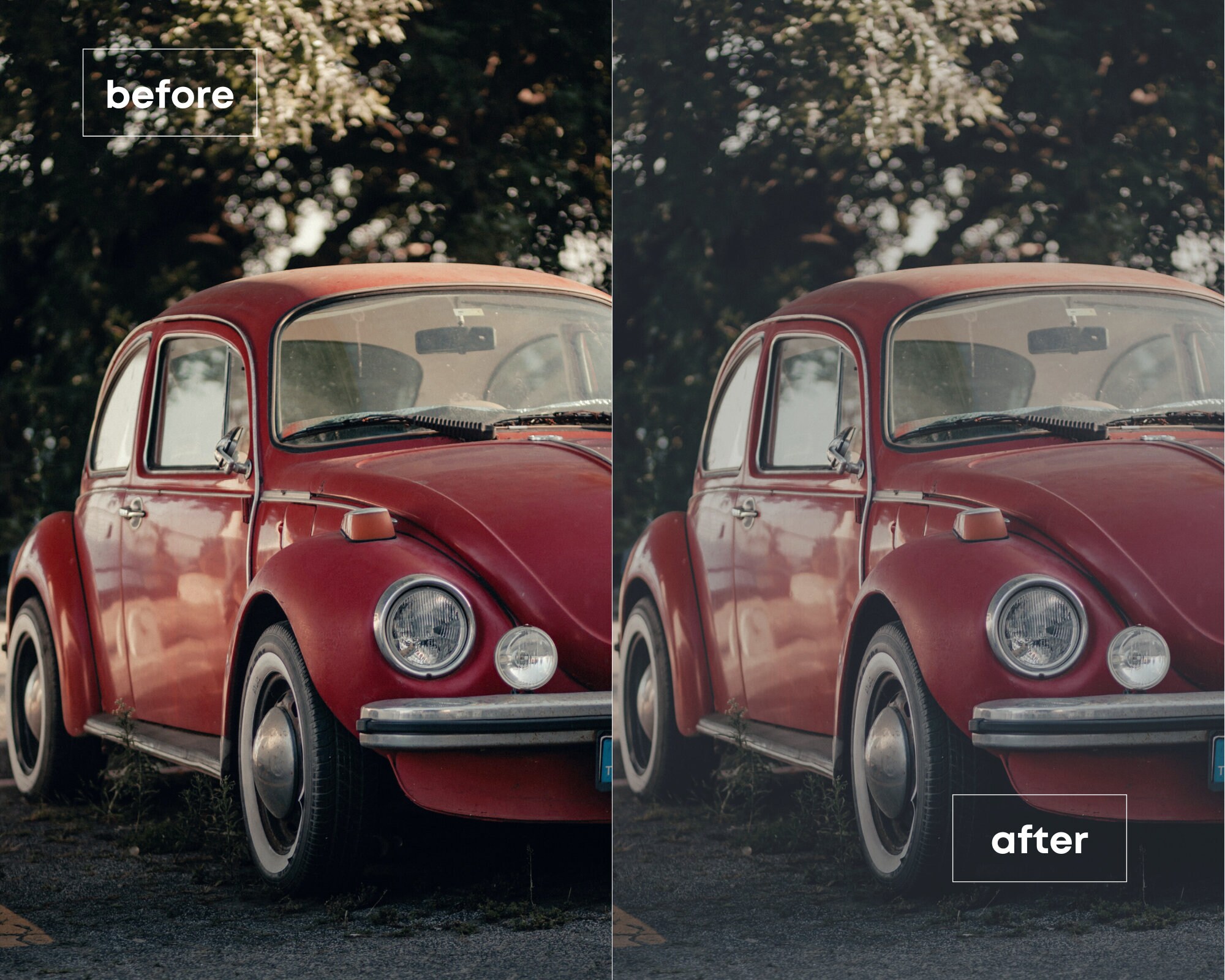 50 Film Reel Luts Pack for Video and Color Grading Video - Etsy